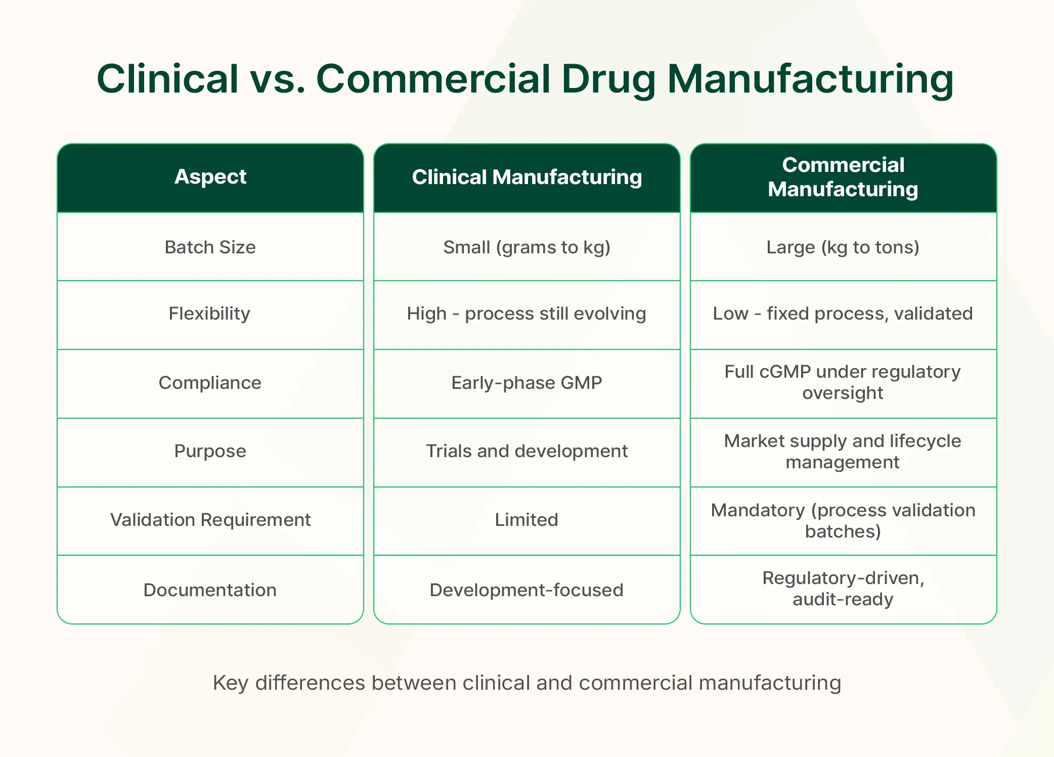 Everything You Need to Know About Commercial Manufacturing